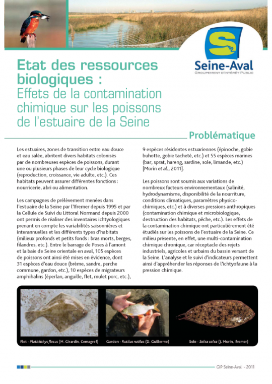 Effets de la contamination chimique - GIP Seine-Aval